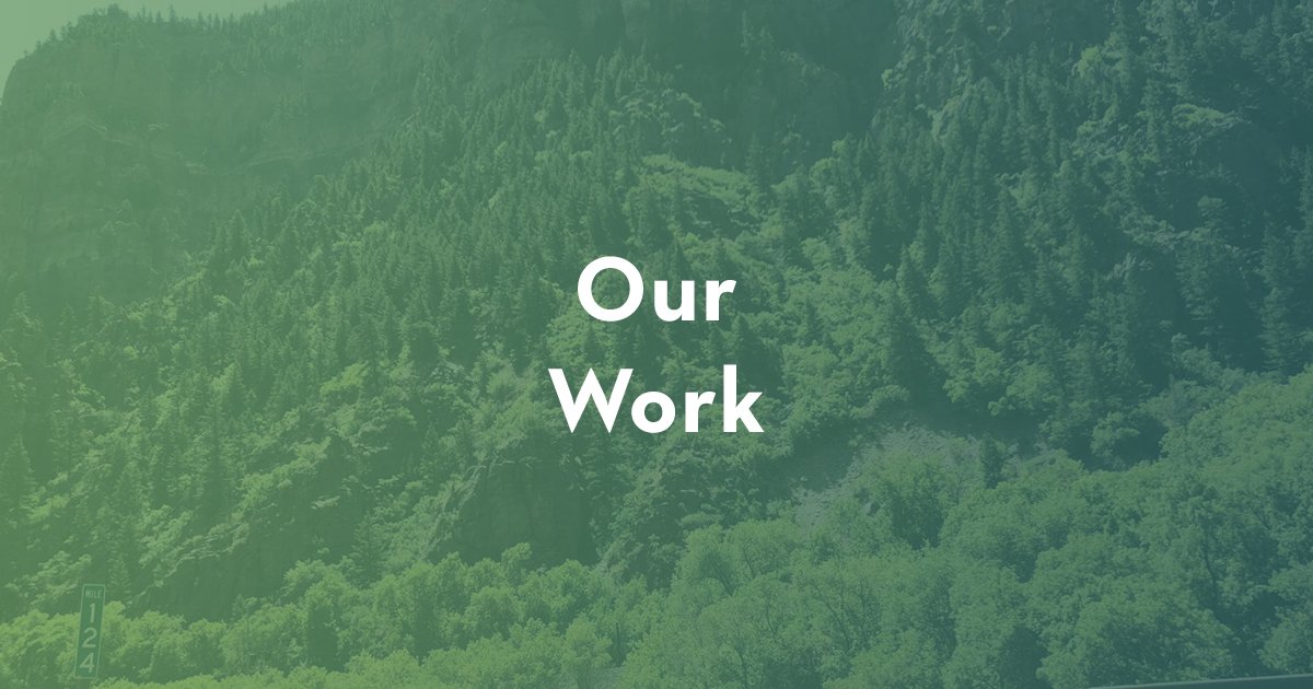 Our Work - Digital Mountaineers